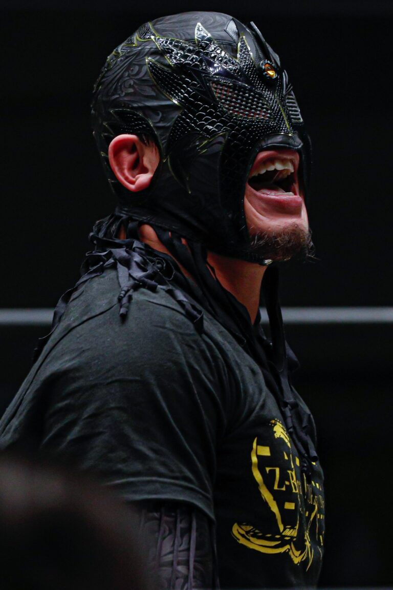CRAZY & BEAUTIFUL: Dragon Gate Star Shun Skywalker Begins Ambitious ...